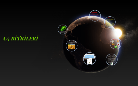 C3 BİTKİLERİ by Emirakın Ak on Prezi
