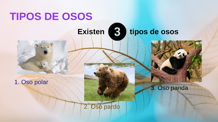 TIPOS DE OSOS by GABRIELA JIMENEZ SILVA on Prezi