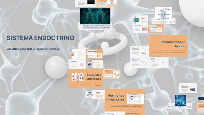 SISTEMA ENDOCTRINO by JIMENA DELGADO GARDUÑO on Prezi