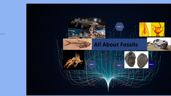 all about fossils by MAXWELL LAUER on Prezi