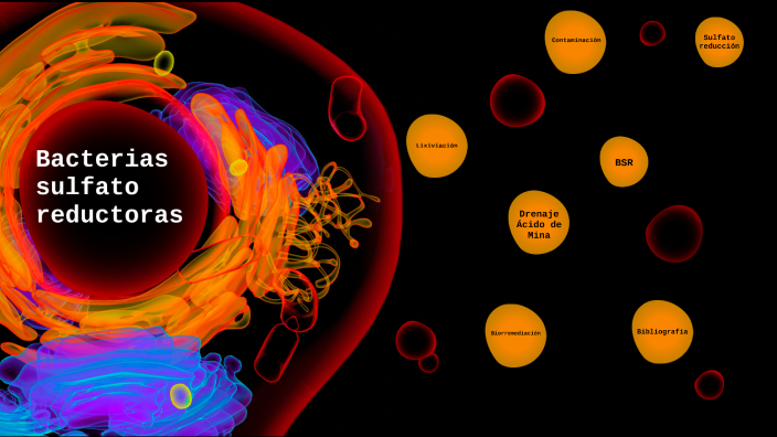 Bacterias Sulfato reductoras by Andrea Meraz on Prezi