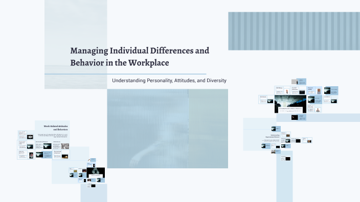 Managing Individual Differences and Behavior in the Workplace by Abby ...
