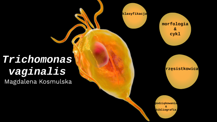 Trichomonas vaginalis by Magda Kosmulska on Prezi