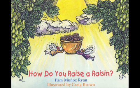 Reading Street U3W1 How Do You Raise a Raisin by Denise Glum on Prezi