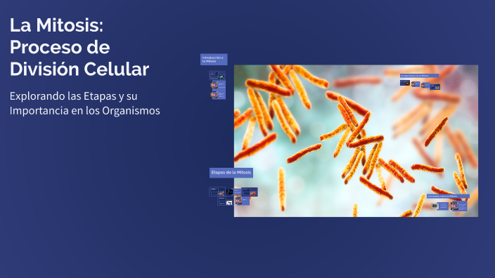 La Mitosis: Proceso de División Celular by Vaisenvzlz Vazquez Lopez on ...