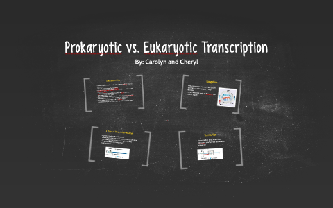 Prokaryotic vs. Eukaryotic Transcription by Cheryl Tan on Prezi