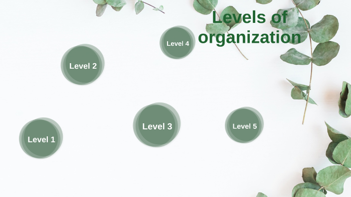 Levels of Organization by Antonia Nikolov [STUDENT] on Prezi