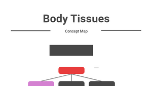Body Tissues Concept Map by Raegan Parks on Prezi Design