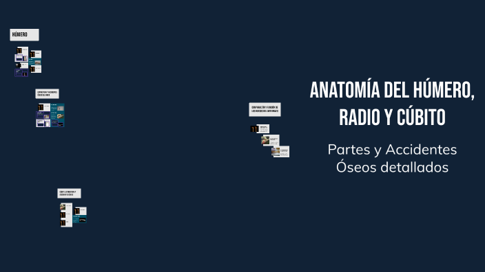 Anatomía del Húmero, Radio y Cúbito by Mike Medranda on Prezi