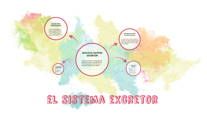 sistema excretor by isabella garcia urrego garcia urrego on Prezi