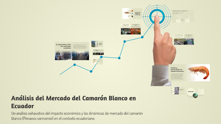 Análisis del Mercado del Camarón Blanco en Ecuador by Jeniffer Moreira ...