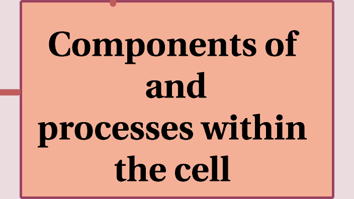 Kopie von Components of and processes within the cell by Anne Mahlke on ...