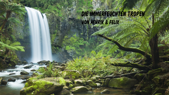 Erdkunde Immerfeuchte Tropen 16.09.2020 by Felix Reinehr on Prezi