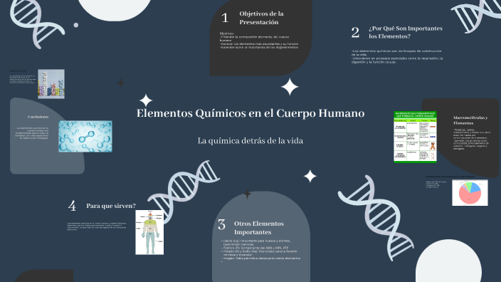 Elementos Químicos en el Cuerpo Humano by szs oe on Prezi