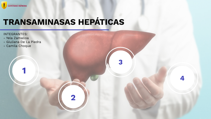 TRANSAMINASAS HEPÁTICAS by CAMILA DANIELA CHOQUE CORONADO on Prezi