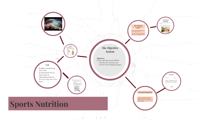Sports Nutrition- The Digestive System by Stacey Roberts on Prezi