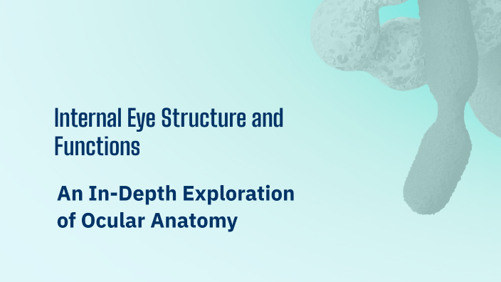 Internal Eye Structure and Functions by Haya Saif on Prezi