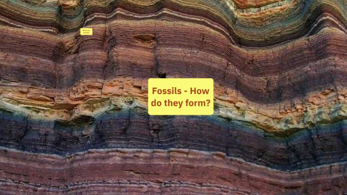 Fossils - How do they form? by Kenneth Avery on Prezi