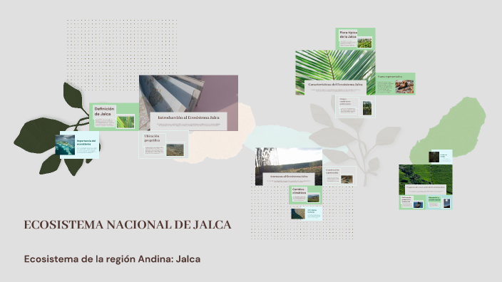 ECOSISTEMA NACIONAL DE JALCA by nayely silvera romero on Prezi