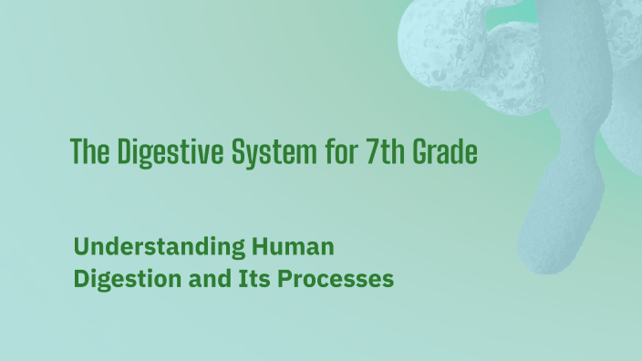 The Digestive System for 7th Grade by EVA YESI on Prezi