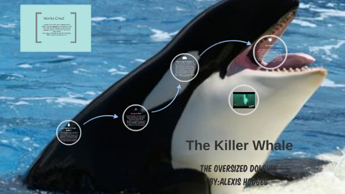 The Killer Whale by Alexis Hodges on Prezi