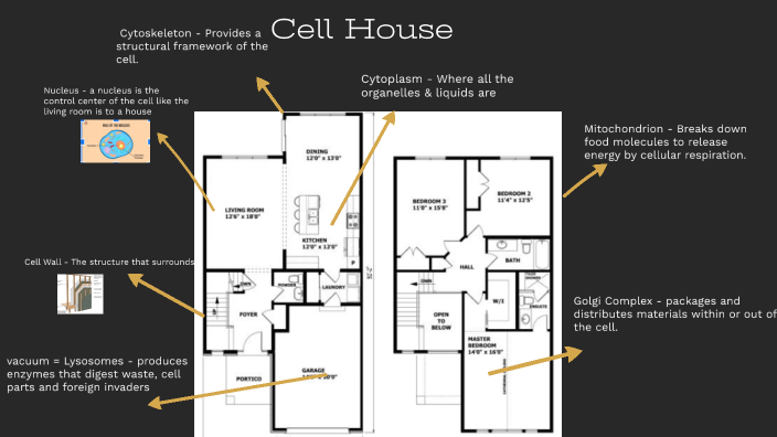 Cell House by Sameed Peerani on Prezi