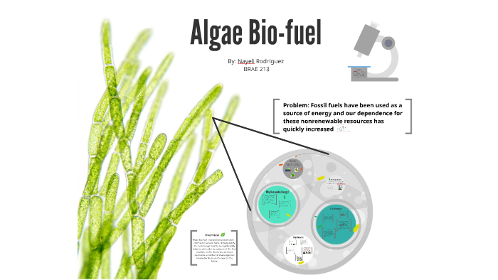 Algae Biofuel by on Prezi