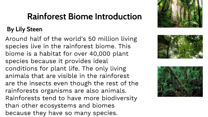 Biome Projects- Rainforests- Lily Steen by Lily Steen on Prezi