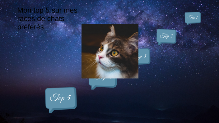 mon top 5 de mes chat préférer by CasgCh1 CasgCh1 on Prezi