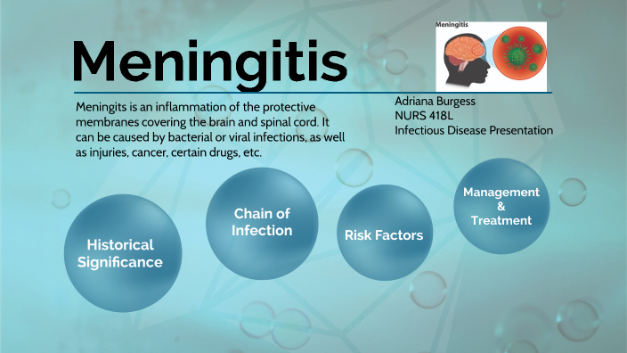 Meningitis by Adriana Burgess on Prezi