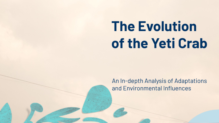 The Evolution of the Yeti Crab by Kayla Harris on Prezi