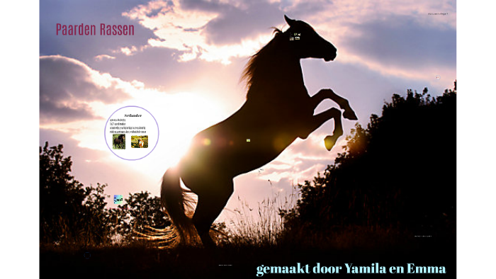 paarden rassen by Emma groenenweg on Prezi