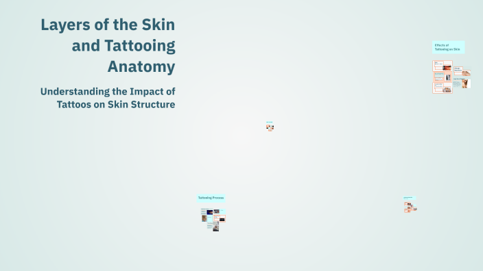 Layers of the Skin and Tattooing Anatomy by Salvatore Ross on Prezi
