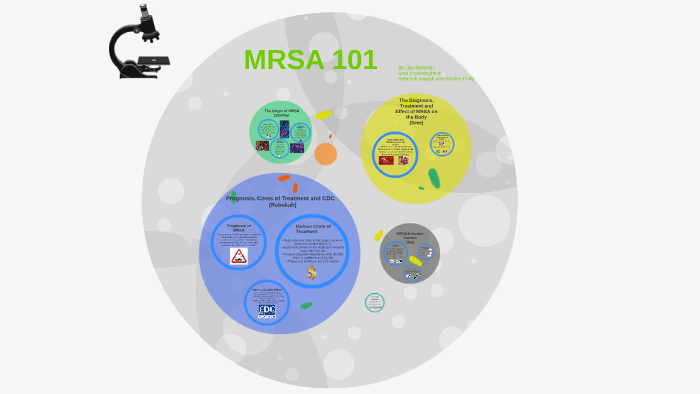 MRSA: A Full Overview by Reba Joseph :-)