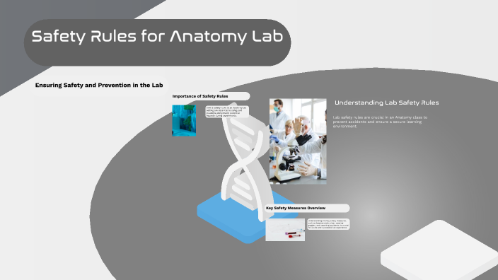 Safety Rules for Anatomy Lab by nik on Prezi