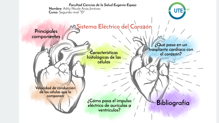 Sistema Eléctrico del Corazón by Nicole Arias on Prezi