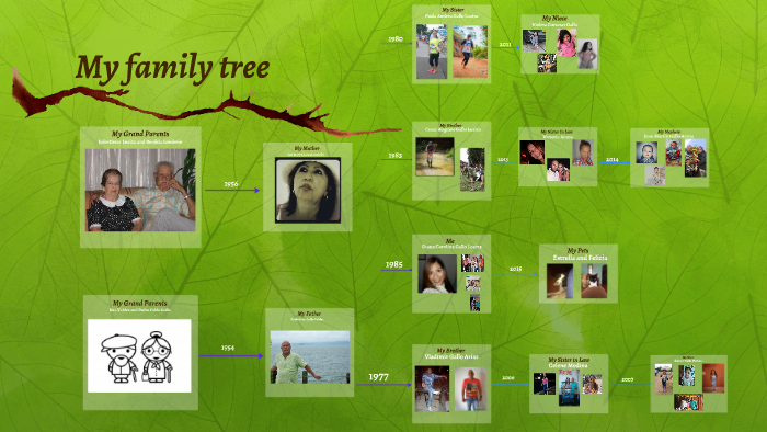 My family tree by Diana Gallo
