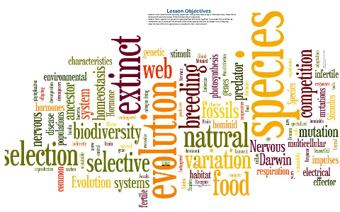 Life On Earth: The Variety of Life by Oliver Traynor on Prezi