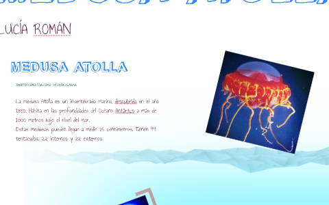 MEDUSA ATOLLA by lucia roman anta on Prezi