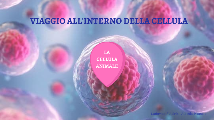 la cellula by Ludovica Fulciniti on Prezi