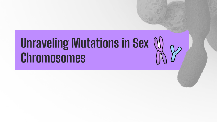 Unraveling Mutations In Sex Chromosomes By Annukka Justel On Prezi