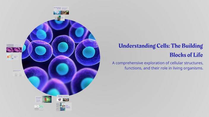 Understanding Cells: The Building Blocks of Life by Patrick Enzinger on ...
