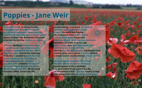 Poppies - Weir by Kim Wells on Prezi