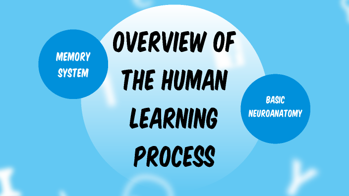 The Human Learning Process by Kristen DeGraff on Prezi