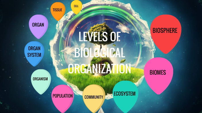 LEVELS OF BIOLOGICAL ORGANIZATION by Mary Jane Zamora on Prezi