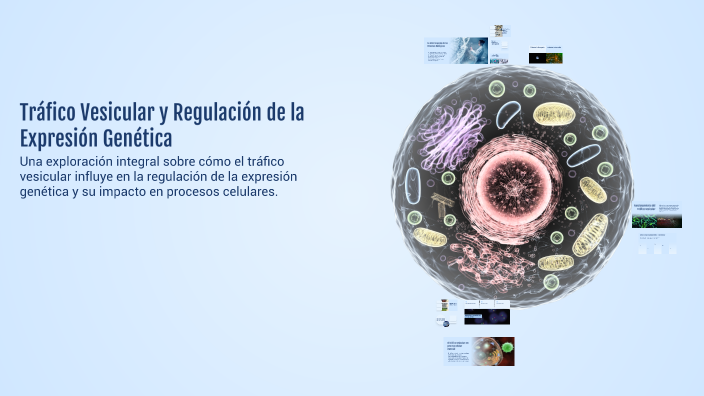 Tráfico Vesicular y Regulación de la Expresión Genética by alanna Polo ...