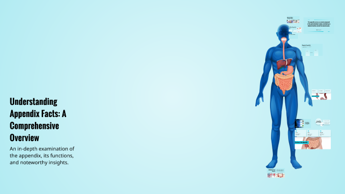 Understanding Appendix Facts: A Comprehensive Overview by Jack ...