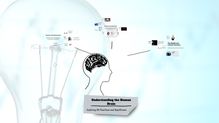 Understanding the Human Brain by Koralia Manta on Prezi