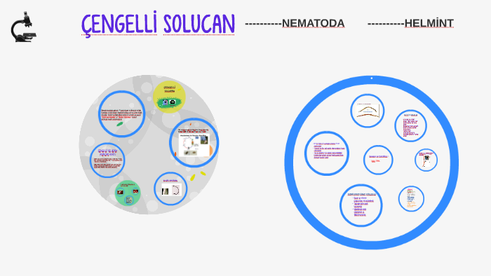 helmint nedir ? by Kübra teper on Prezi
