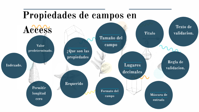 Propiedades de campos de Access by Edgar Andrade on Prezi